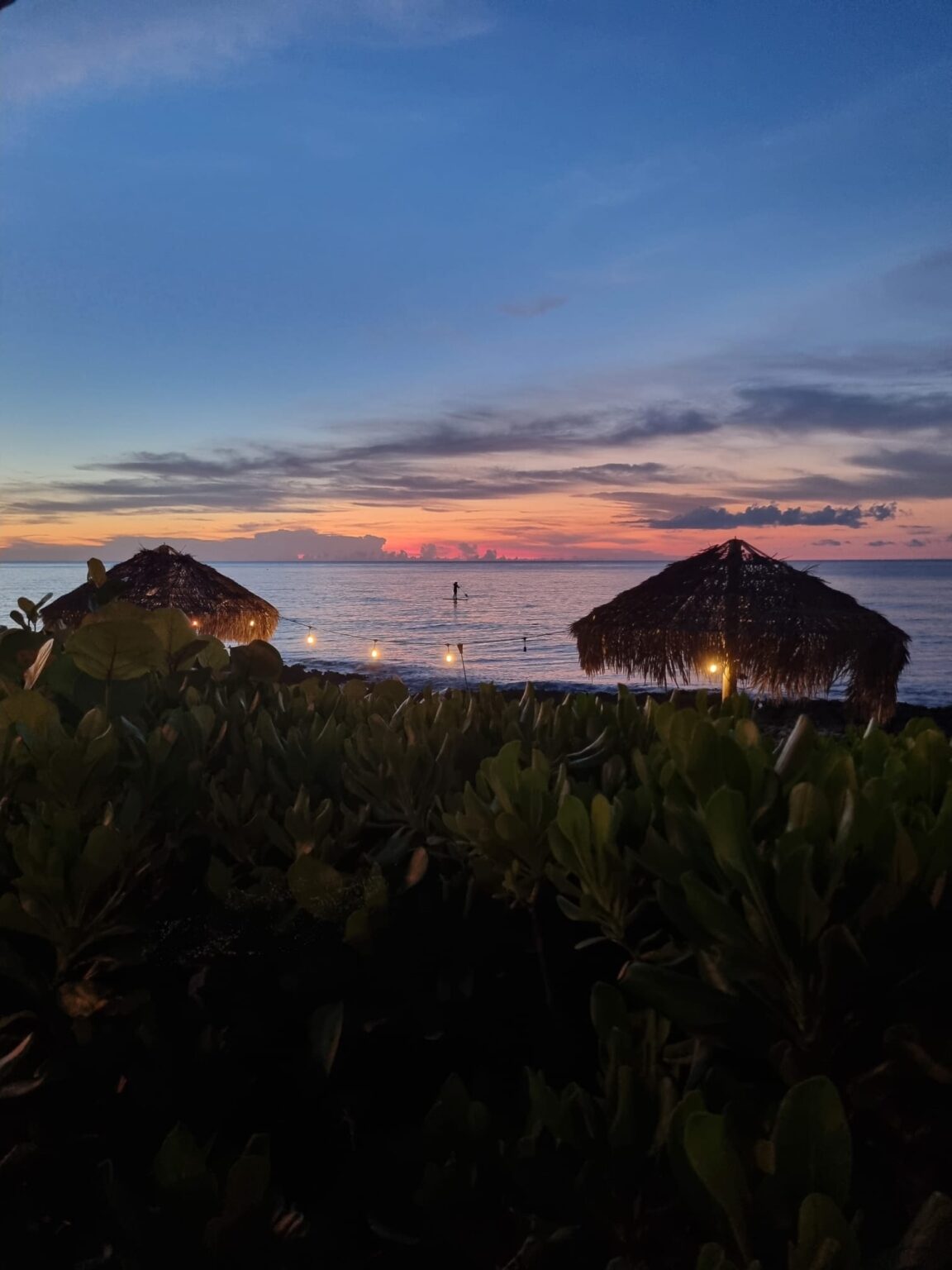 Paradise Immigration Consulting – Convenient, efficient, and high ...